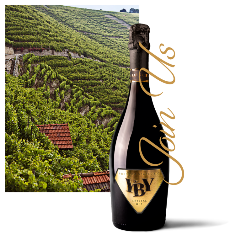 YBY – 365 Reasons To Celebrate